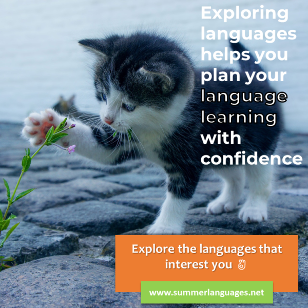 Language learning – Summer languages